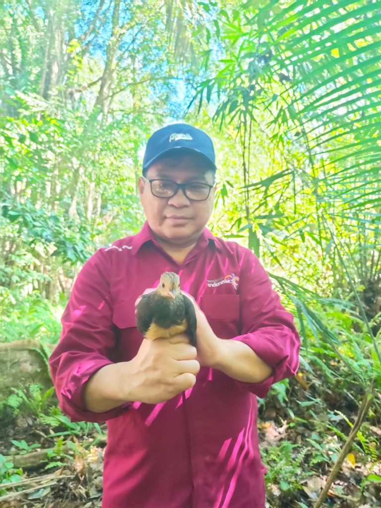 Aryanto: Keunikan Burung Maleo Bisa Jadi Daya Tarik Wisatawan | Read.id