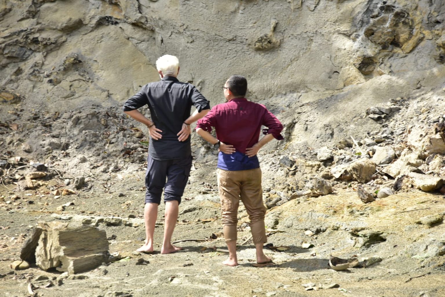 Sekjen GGN : Fosil Kayu Tohupo Akan Jadi Atraksi Luar Biasa Bagi ...