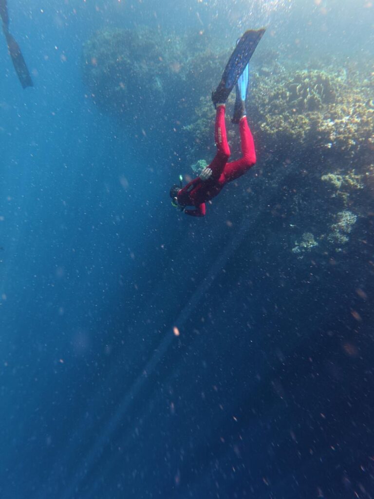 Taman Laut Olele Jadi Destinasi Wisata Rekomendasi bagi Peserta PENAS ...